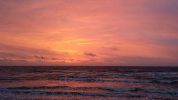 Den Korte Avis | Solopgang ved Mosede Strand i Greve