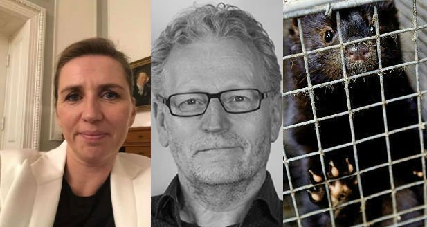 Den Korte Avis | Dramatisk udvikling: Stærke kræfter i det radikale ...