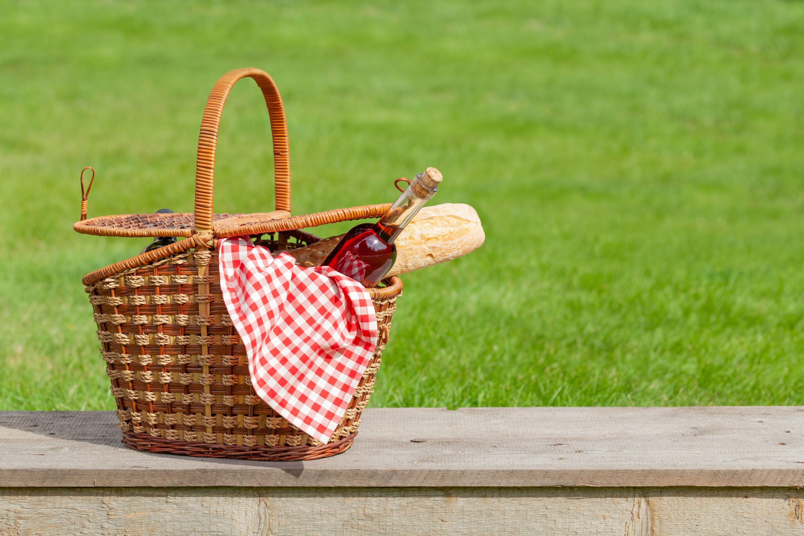 Den Korte Avis | Hvorvidt picnickurven var pakket til en tur i det ...